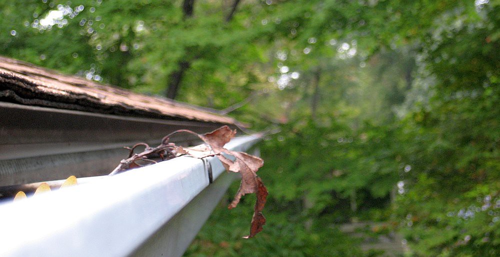 Should You Clean Your Gutters Before or After Leaves Fall? - Texas ...